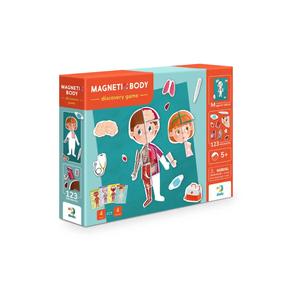 DODO TOYS - Educational Game - Magnetic Body – The Learning Curve